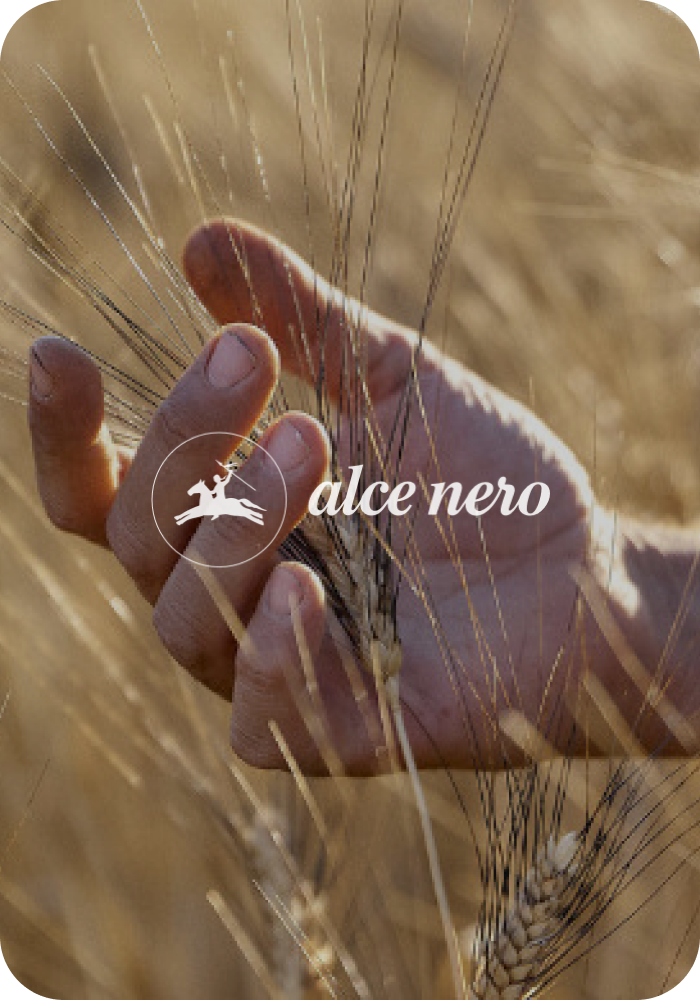 Celeste Commerce Hub